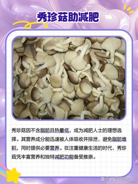 秀珍菇的营养价值_秀珍菇怎么吃最营养-第1张图片-山城妙识