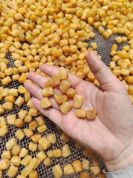 干贝怎么泡发_干贝的家常做法大全-第2张图片-山城妙识