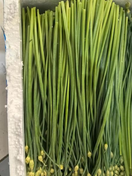 韭菜花酱怎么保存不变色_自制韭菜花酱视频教程-第2张图片-山城妙识