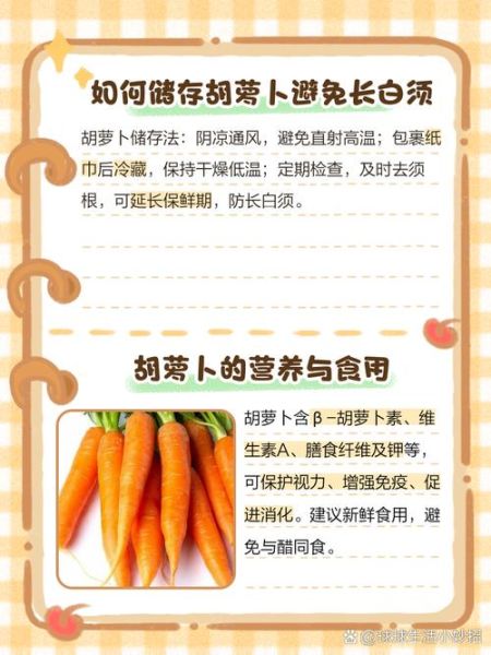 胡萝卜须的故事告诉我们什么_如何理解胡萝卜须的寓意-第2张图片-山城妙识