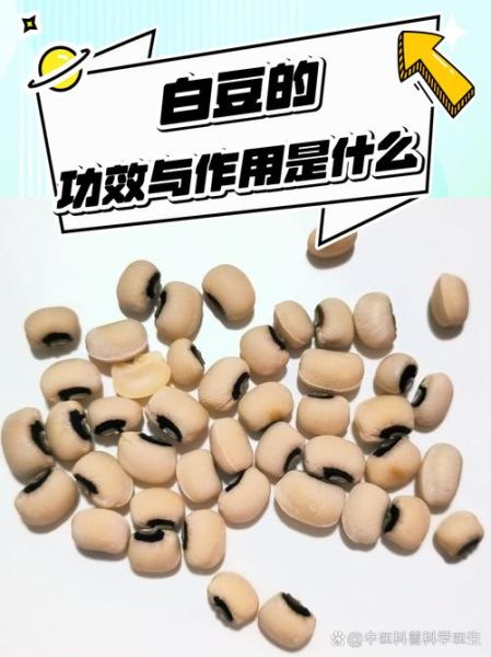 白豆的功效与作用_白豆怎么吃最营养-第2张图片-山城妙识