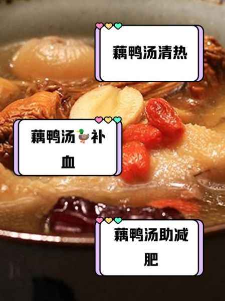 莲藕煲鸭汤的做法_莲藕煲鸭汤的功效-第1张图片-山城妙识