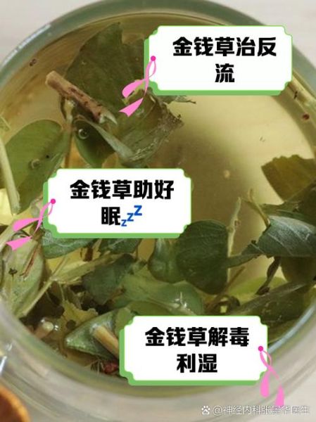 胆结石喝金钱草能好吗_金钱草治胆结石多久见效-第1张图片-山城妙识
