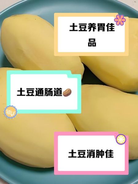 土豆的功效与作用_土豆减肥还是增肥-第3张图片-山城妙识