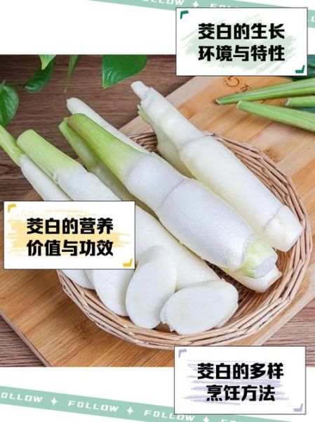冬笋图片是茭白吗_冬笋和茭白区别-第2张图片-山城妙识