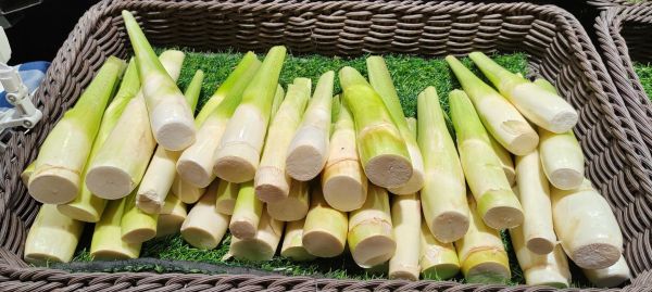 冬笋图片是茭白吗_冬笋和茭白区别-第3张图片-山城妙识