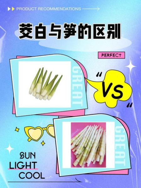 冬笋图片是茭白吗_冬笋和茭白区别-第1张图片-山城妙识