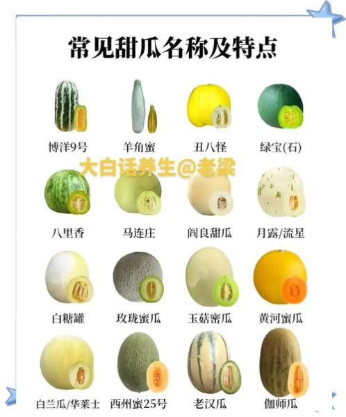 瓜类图片大全大图_如何快速识别常见品种-第1张图片-山城妙识