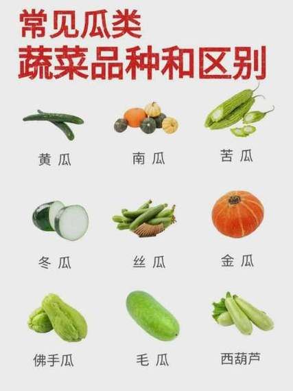瓜类图片大全大图_如何快速识别常见品种-第3张图片-山城妙识