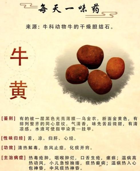 牛耳朵大黄的功效与禁忌_哪些人不能吃-第2张图片-山城妙识