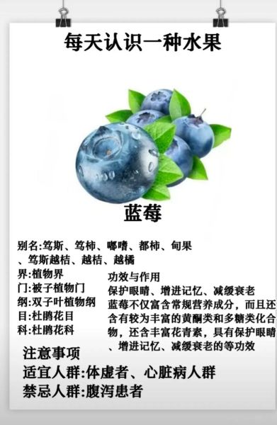 蓝莓的营养价值有哪些_蓝莓的功效与作用-第3张图片-山城妙识 蓝莓的营养价值有哪些_蓝莓的功效与作用-第3张图片-山城妙识