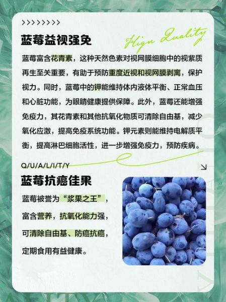 蓝莓的营养价值有哪些_蓝莓的功效与作用-第2张图片-山城妙识 蓝莓的营养价值有哪些_蓝莓的功效与作用-第2张图片-山城妙识