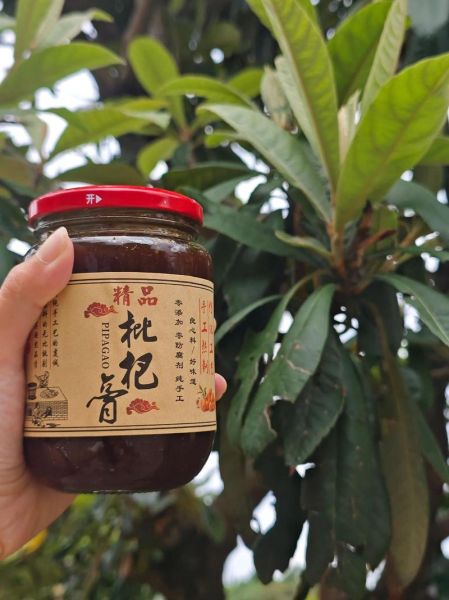 枇杷膏不适宜人群有哪些_枇杷膏哪些人不能吃-第3张图片-山城妙识