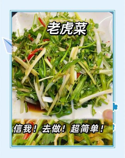 东北老虎菜怎么做好吃_家常老虎菜做法步骤-第1张图片-山城妙识