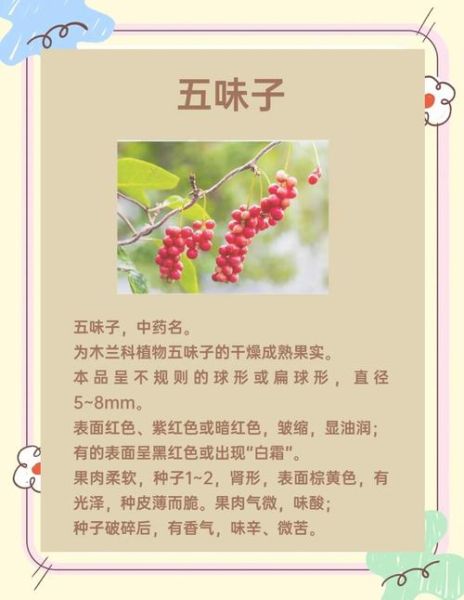 五味子糖浆的功效与作用_五味子糖浆适合什么人喝-第3张图片-山城妙识