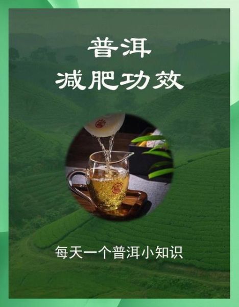 普洱茶怎么喝减肥效果最好_普洱茶减肥正确喝法-第1张图片-山城妙识