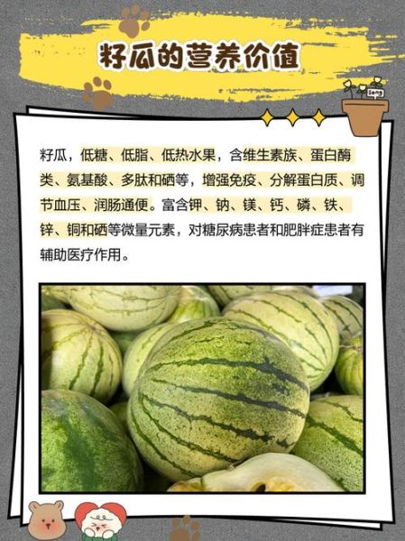 籽瓜怎么吃_籽瓜的吃法有哪些-第1张图片-山城妙识