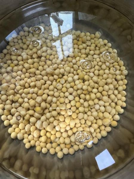 豆腐脑怎么点浆_内酯和卤水哪个好-第3张图片-山城妙识