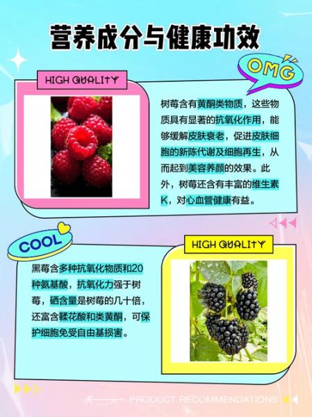 红树莓和黑树莓的功效区别_哪个营养价值更高-第1张图片-山城妙识