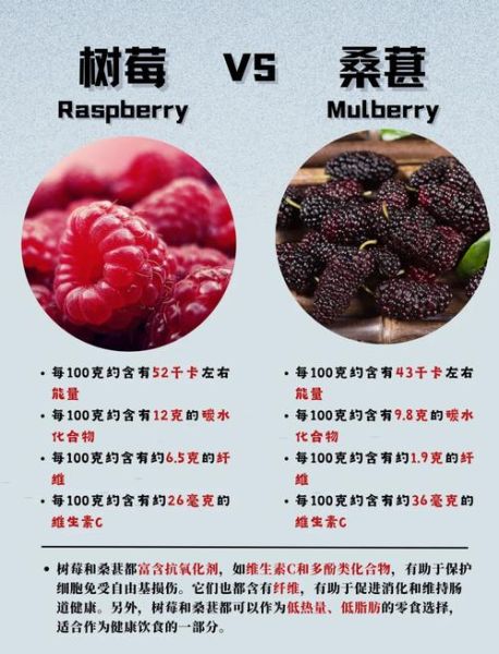 红树莓和黑树莓的功效区别_哪个营养价值更高-第2张图片-山城妙识