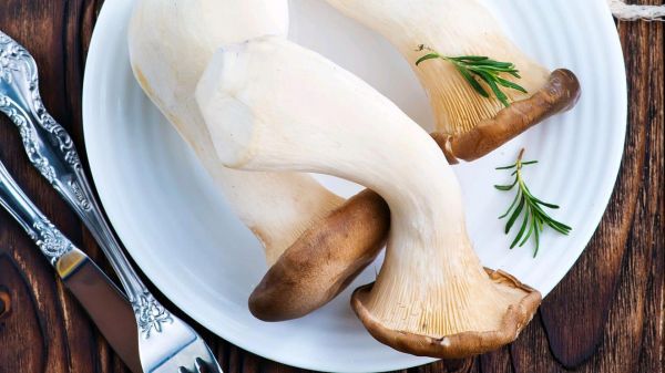 鸡腿菇和杏鲍菇哪个好_口感营养价格全面对比-第1张图片-山城妙识