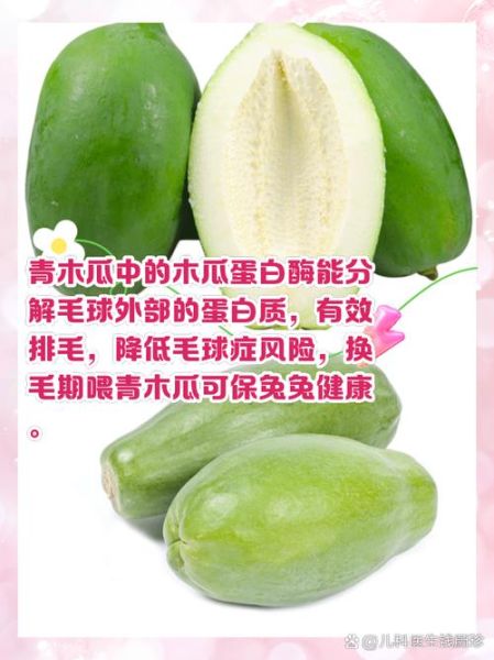 青木瓜粉的功效与作用_怎么吃才有效-第3张图片-山城妙识