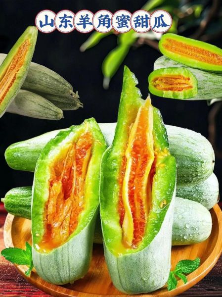 羊角蜜甜瓜要削皮吃吗_羊角蜜甜瓜怎么吃-第2张图片-山城妙识