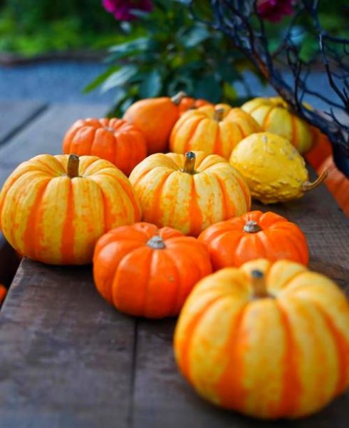 万圣节南瓜灯由来_为什么用南瓜-第1张图片-山城妙识