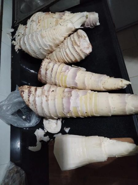 腌新鲜竹笋怎么腌制_竹笋腌制多久可以吃-第2张图片-山城妙识
