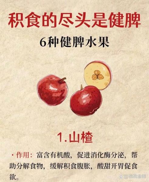 健脾的水果有哪些_怎么吃最养脾胃-第2张图片-山城妙识 健脾的水果有哪些_怎么吃最养脾胃-第2张图片-山城妙识