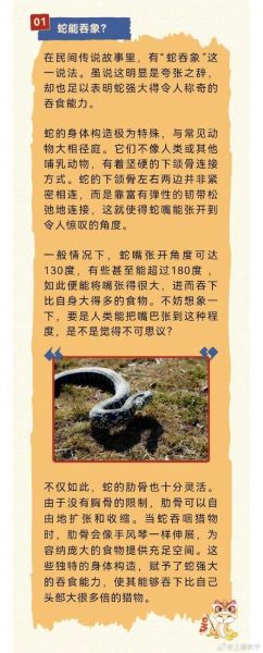 蛇活久了为什么会被雷劈_民间传说科学解释-第1张图片-山城妙识