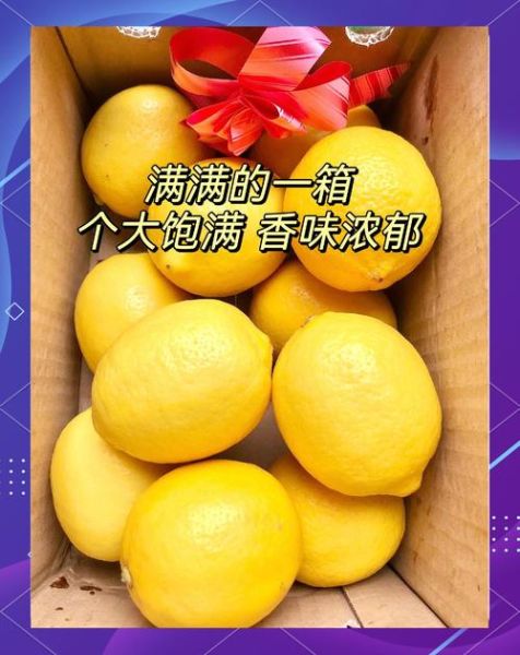 柠檬视频怎么下载_柠檬视频安全吗-第3张图片-山城妙识