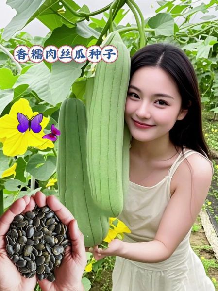 肉丝瓜长什么样_肉丝瓜怎么挑选-第2张图片-山城妙识