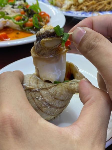 海螺丝怎么清洗_海螺丝怎么做好吃-第3张图片-山城妙识 海螺丝怎么清洗_海螺丝怎么做好吃-第3张图片-山城妙识