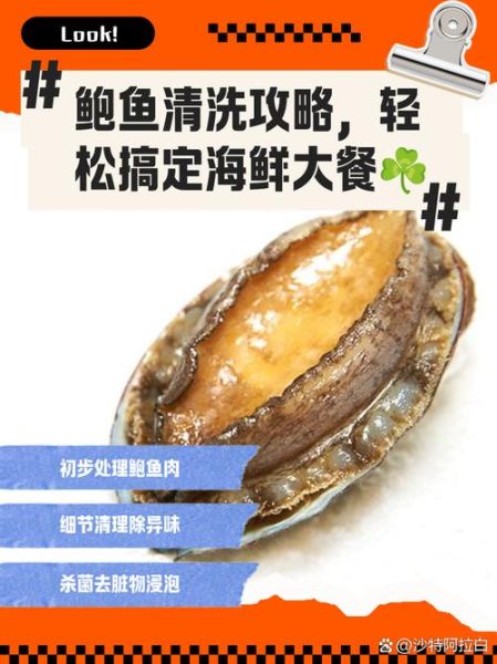 鲍鱼怎么清洗_鲍鱼清洗步骤-第2张图片-山城妙识