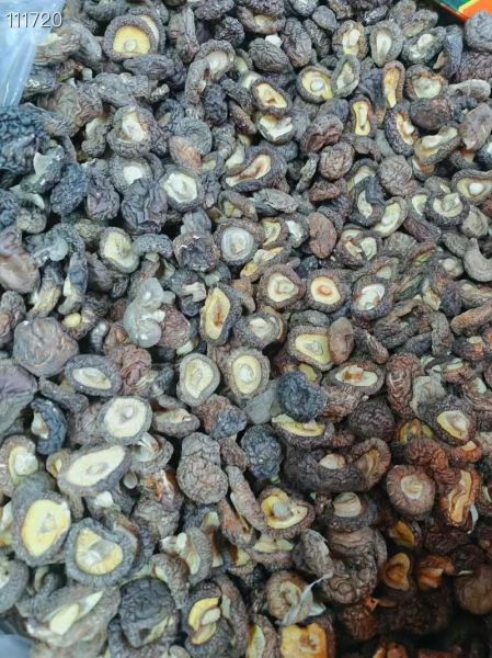 鲜香菇多少钱一斤_鲜香菇价格受哪些因素影响-第1张图片-山城妙识 鲜香菇多少钱一斤_鲜香菇价格受哪些因素影响-第1张图片-山城妙识