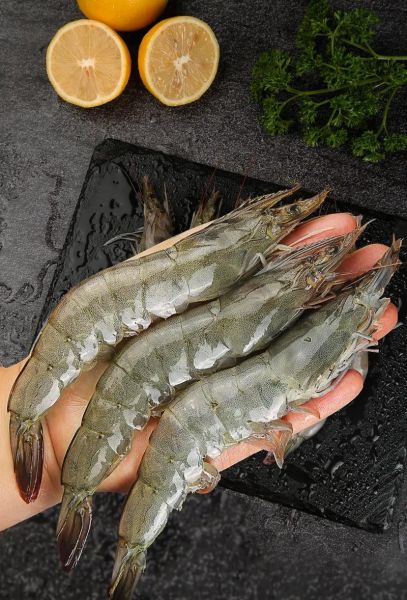 青岛大虾多少钱一斤_青岛海鲜市场价格-第3张图片-山城妙识