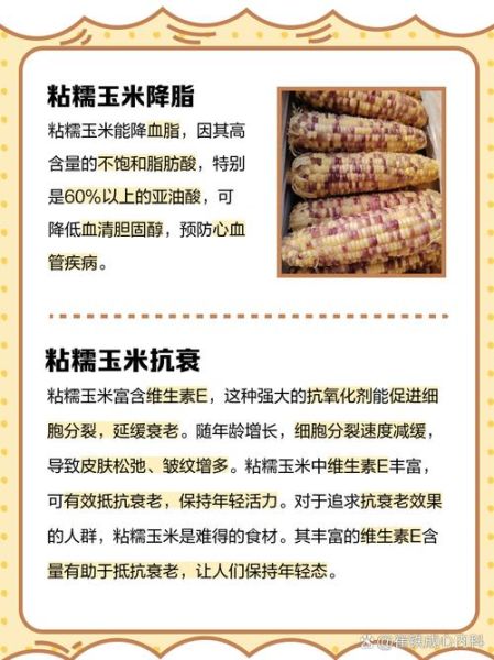 糯玉米的功效与作用_糯玉米的禁忌有哪些-第1张图片-山城妙识 糯玉米的功效与作用_糯玉米的禁忌有哪些-第1张图片-山城妙识