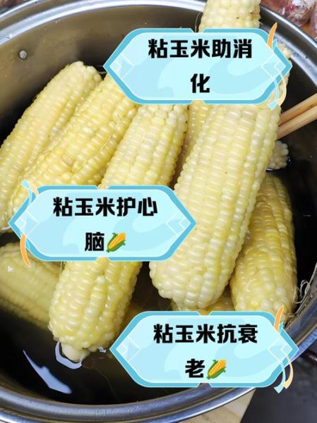 糯玉米的功效与作用_糯玉米的禁忌有哪些-第2张图片-山城妙识 糯玉米的功效与作用_糯玉米的禁忌有哪些-第2张图片-山城妙识