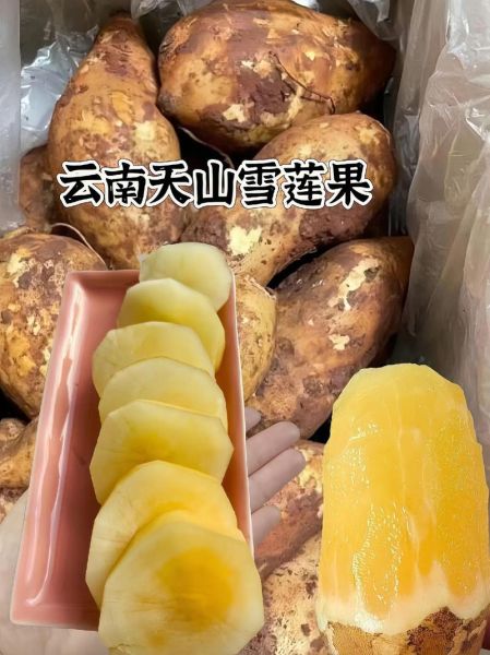 雪莲子是什么_雪莲子怎么吃效果最好-第2张图片-山城妙识