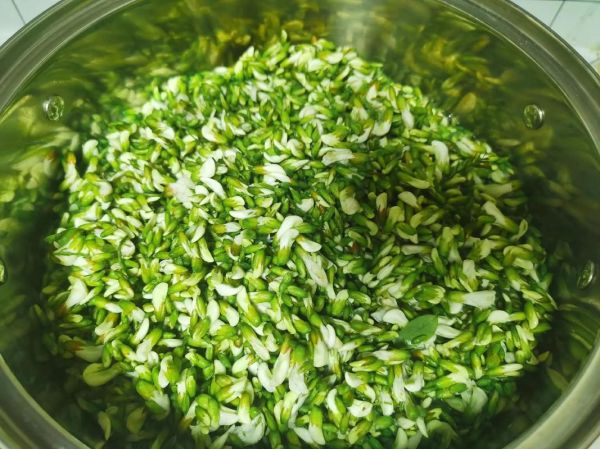 新鲜洋槐花怎么吃_洋槐花做法大全-第2张图片-山城妙识