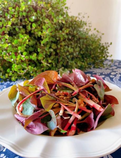 鱼腥草怎么凉拌_鱼腥草凉拌要焯水吗-第1张图片-山城妙识