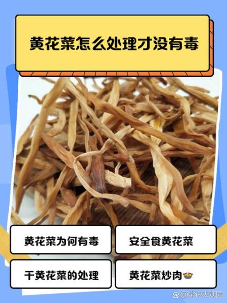 新鲜黄花菜有毒吗_怎样处理才能吃-第1张图片-山城妙识