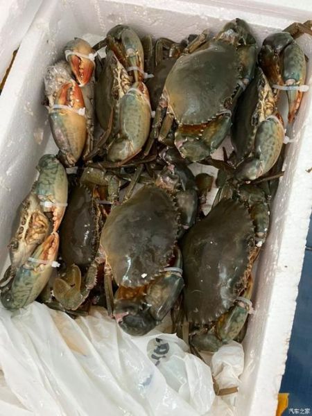 死河蟹能吃吗_死河蟹怎么吃最安全-第3张图片-山城妙识 死河蟹能吃吗_死河蟹怎么吃最安全-第3张图片-山城妙识