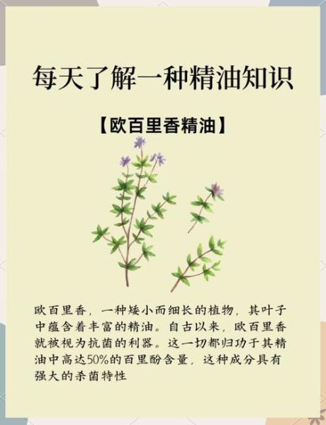 百里香的功效与作用_百里香怎么用效果最好-第2张图片-山城妙识
