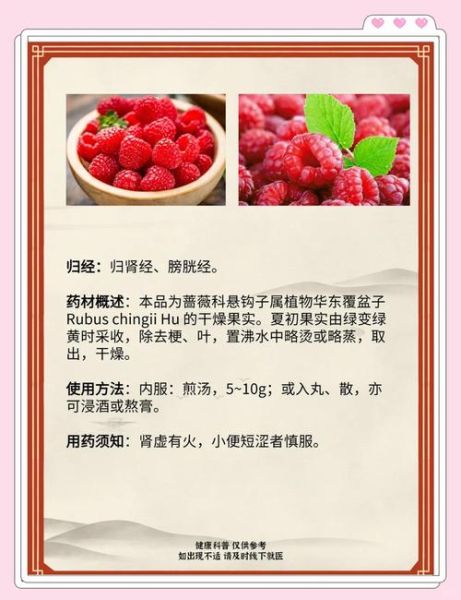 覆盆子对女人的作用与功效_覆盆子中药怎么吃最好-第2张图片-山城妙识
