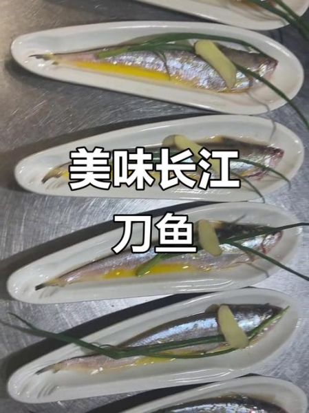 长江刀鱼图片价格_2024最新行情-第3张图片-山城妙识 长江刀鱼图片价格_2024最新行情-第3张图片-山城妙识