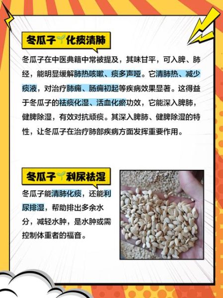 生冬瓜子的功效与作用_生冬瓜子怎么吃最健康-第2张图片-山城妙识