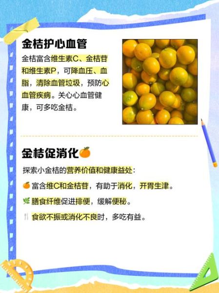 小金桔的功效与作用_小金桔怎么吃最好-第2张图片-山城妙识