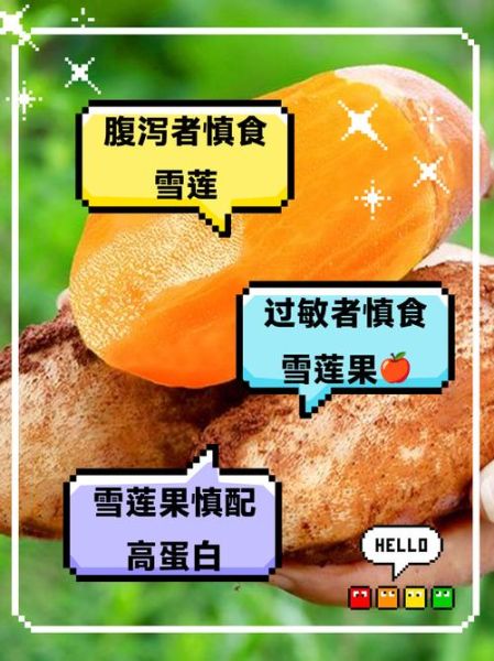 雪莲果的功效与作用_雪莲果的副作用有哪些-第3张图片-山城妙识